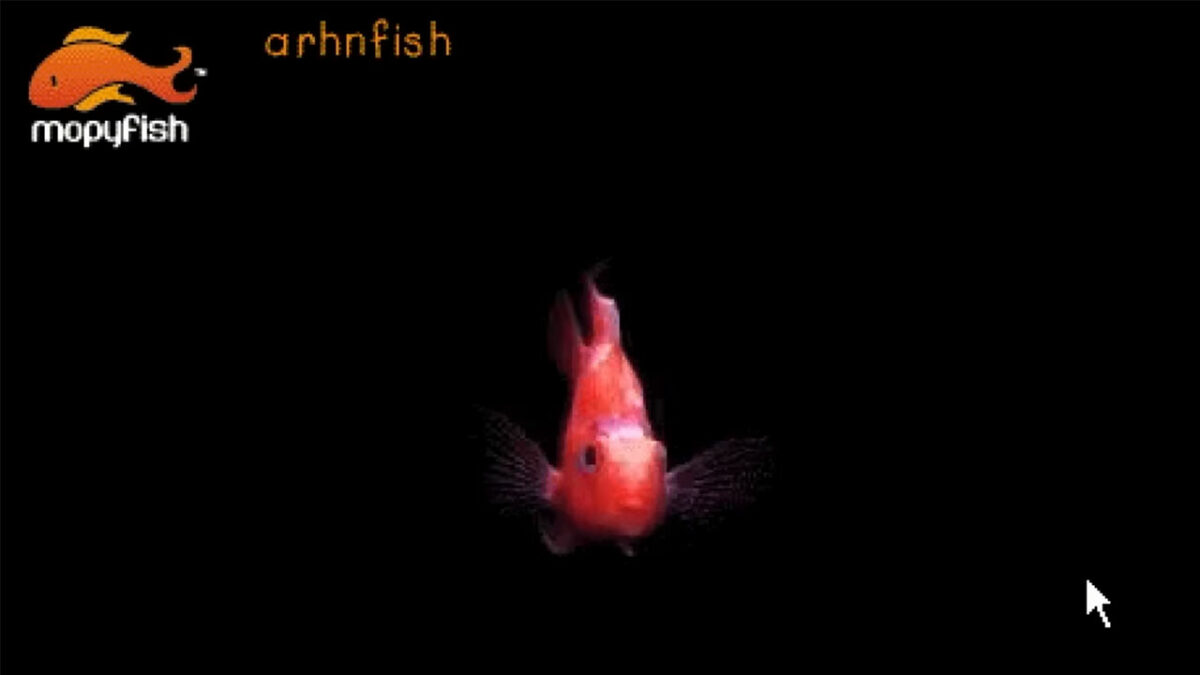 Mopy Fish – arhn.eu